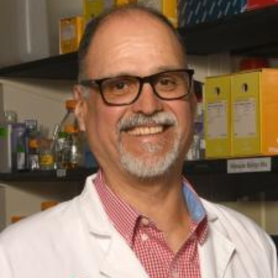 Rafael Jimenez-Flores - Novel Ingredients for Infant Formula ...